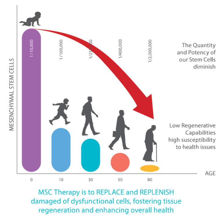 MSC Stem Cells Therapy & Injections Malaysia - Cell & Co.
